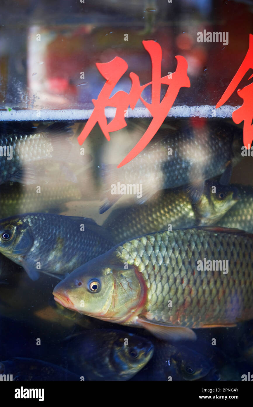 Fish slide High Resolution Stock Photography and Images - Alamy