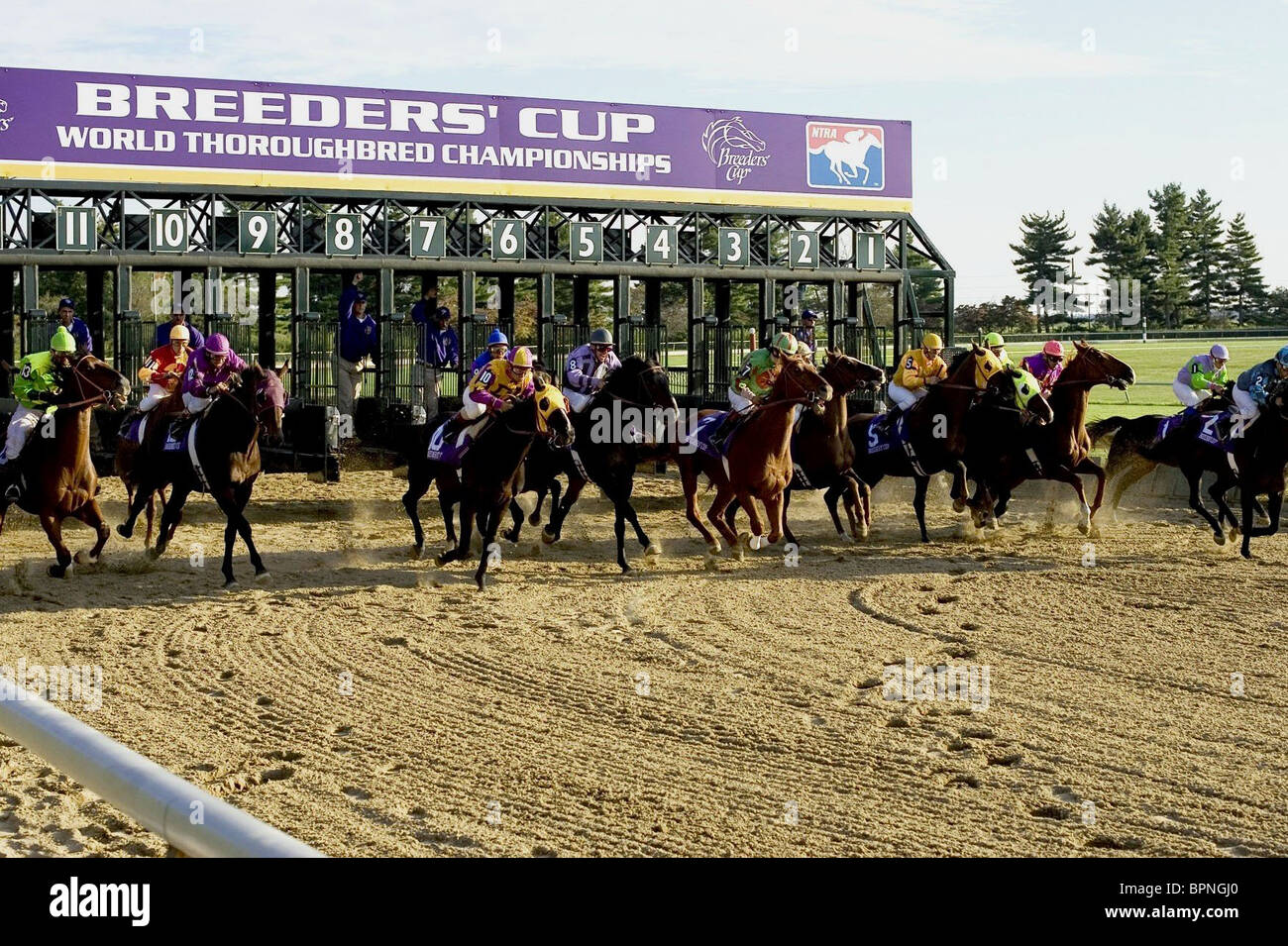 Dreamer Inspired By A True Story High Resolution Stock Photography and ...