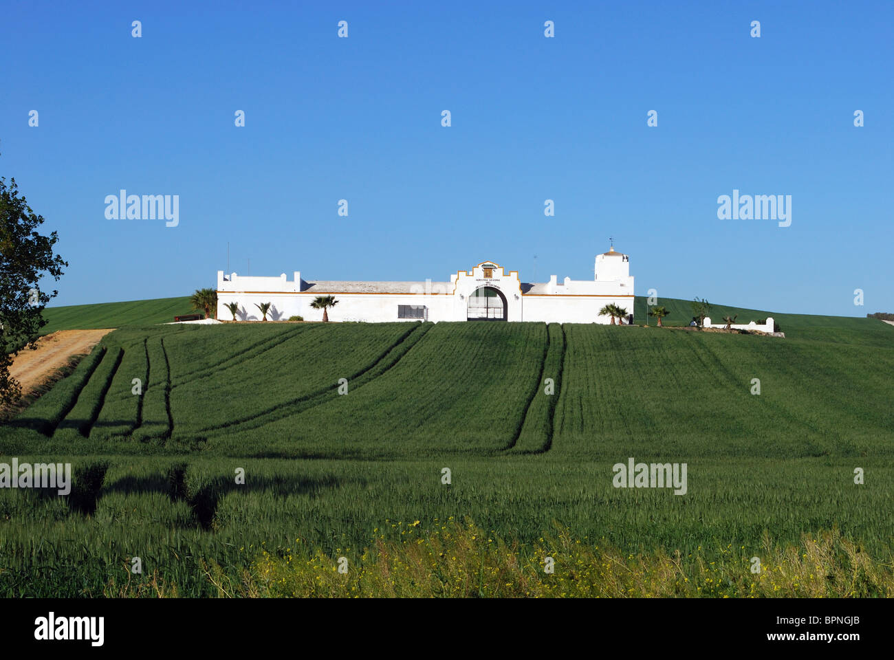 Rural andalucia farmhouse hi-res stock photography and images - Alamy