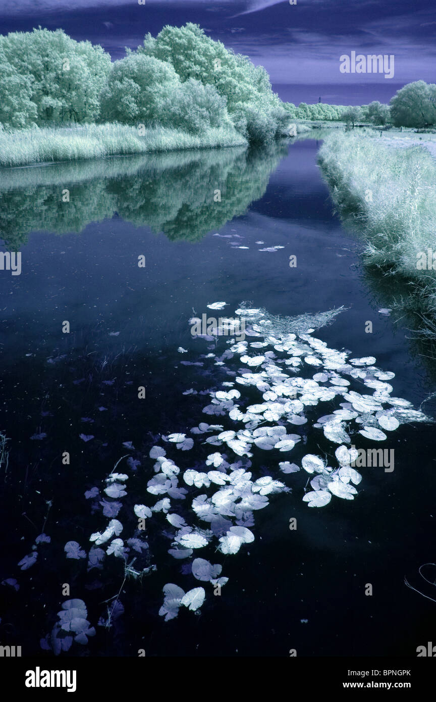 river waveney from suffolk side at geldeston norfolk england Stock ...