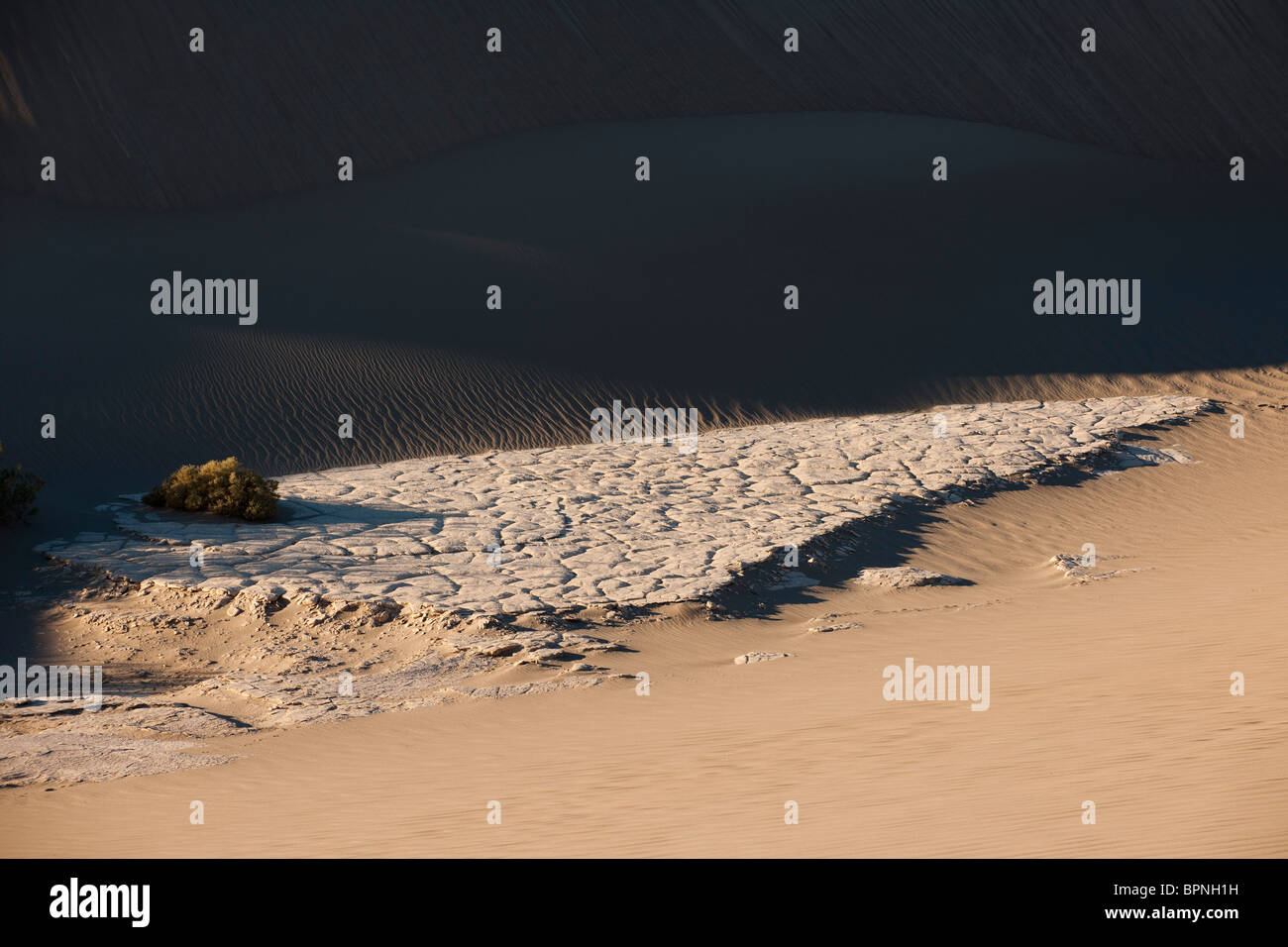 Mud formations in the Mesquite sand dunes, Death Valley National Park ...