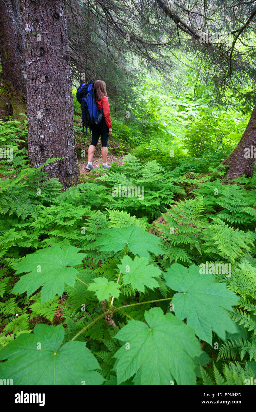 Hiking on the Resurrection River Trail, Chugach National Forest, Alaska ...