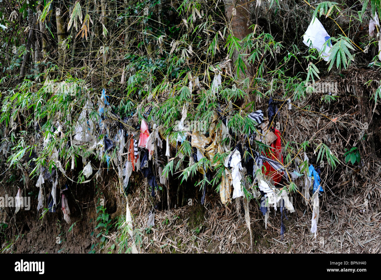 Plastic lining hi-res stock photography and images - Alamy