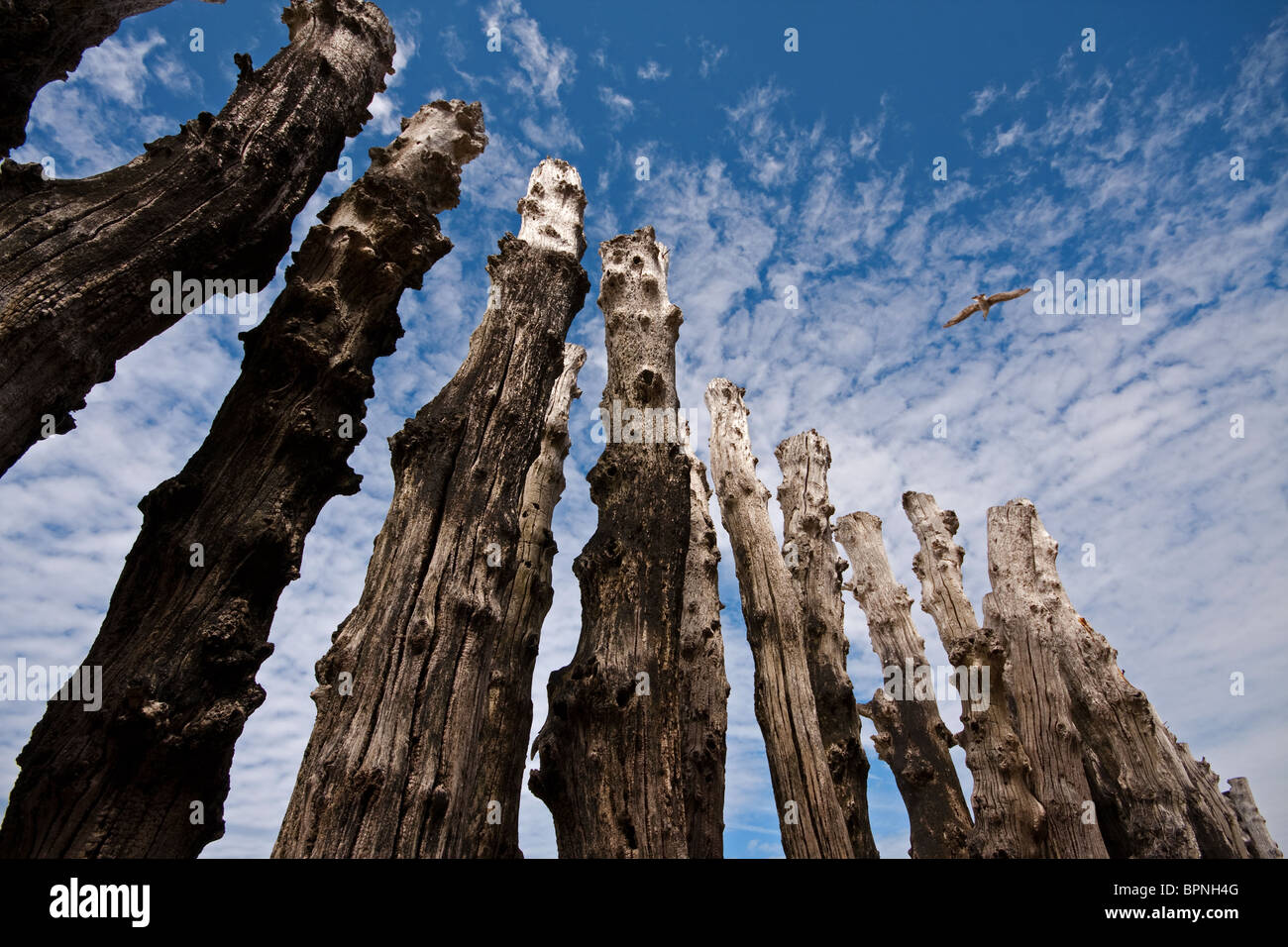 Sea defense defence hi-res stock photography and images - Alamy