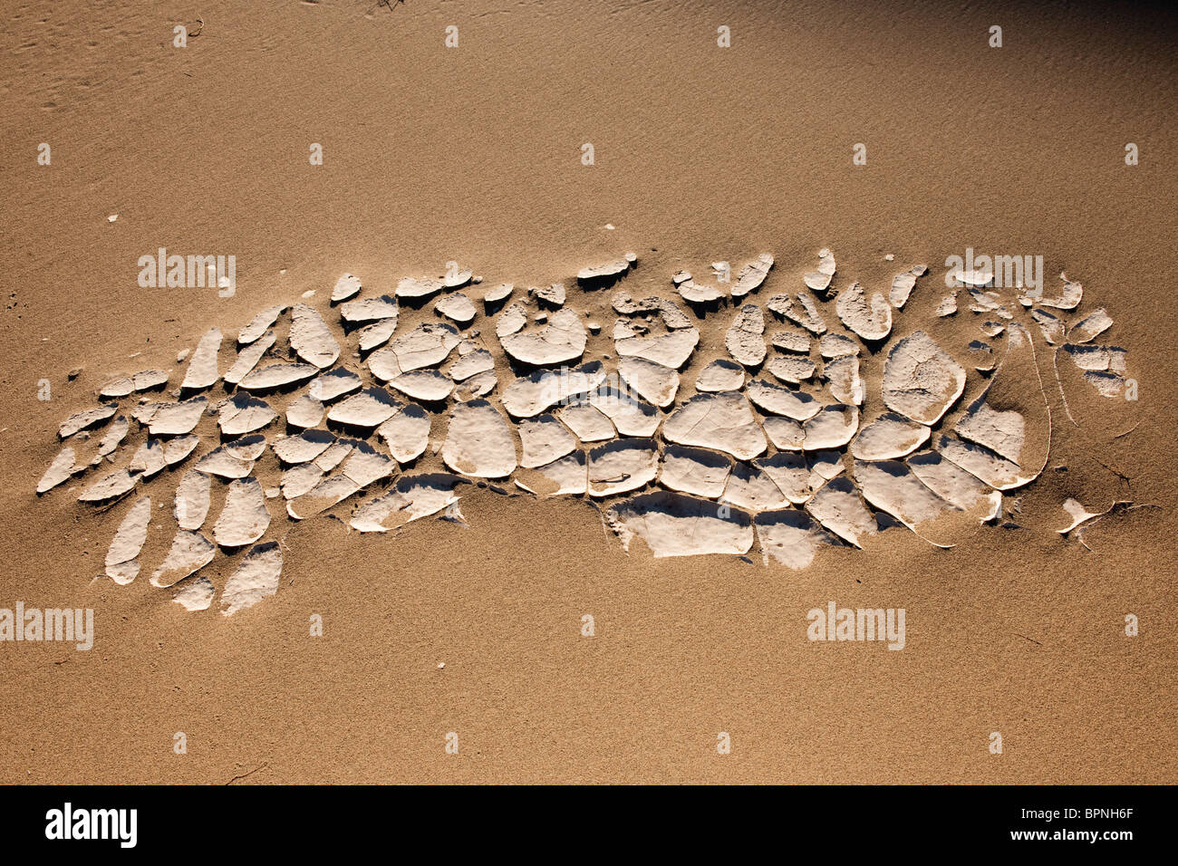 Mud formations in the Mesquite sand dunes, Death Valley National Park, California, USA Stock ...