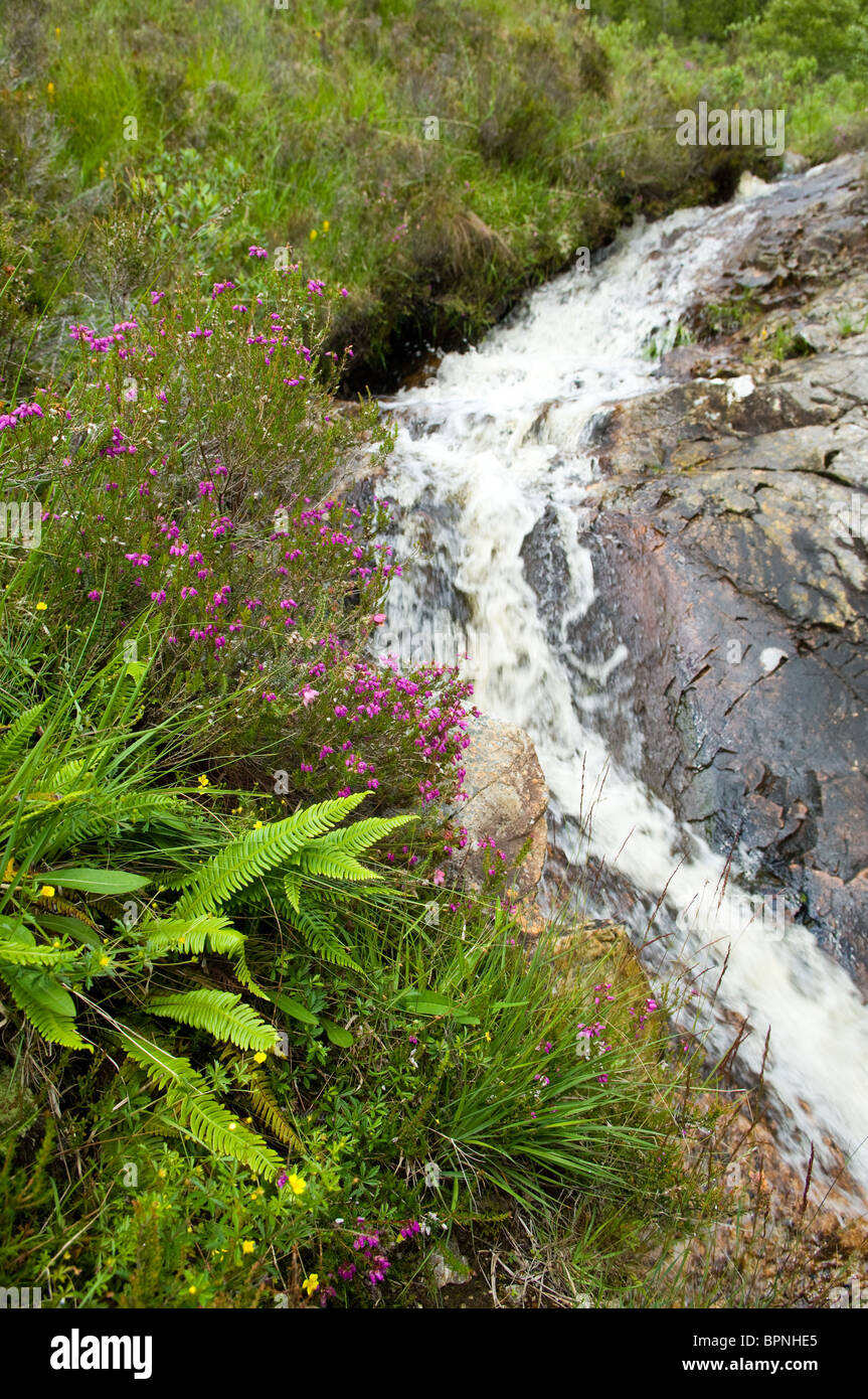 Rocky outcrop water hi-res stock photography and images - Alamy