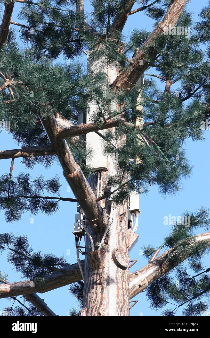 Disguised as a tree hi-res stock photography and images - Alamy