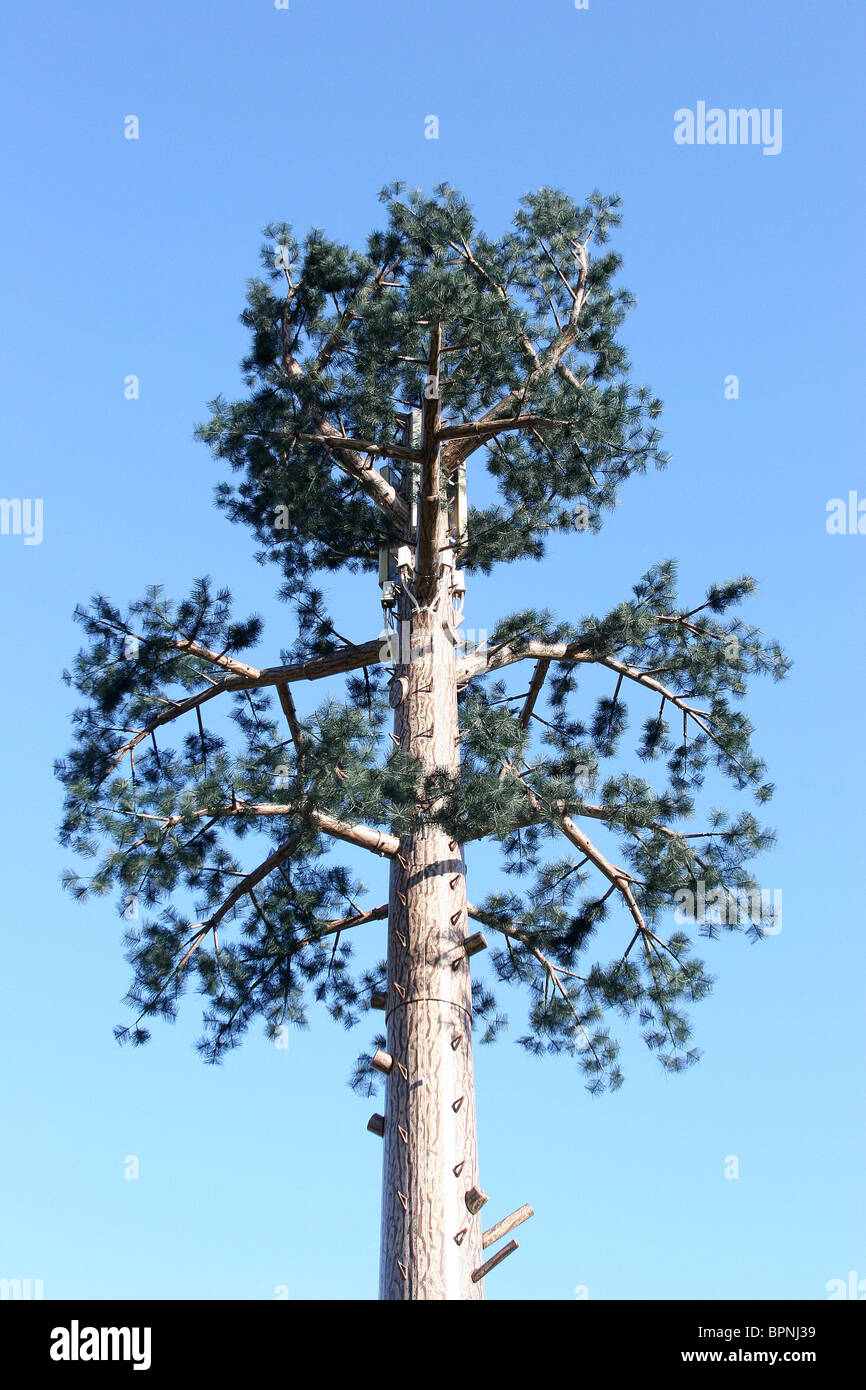 Disguised mobile phone masts hi-res stock photography and images - Alamy
