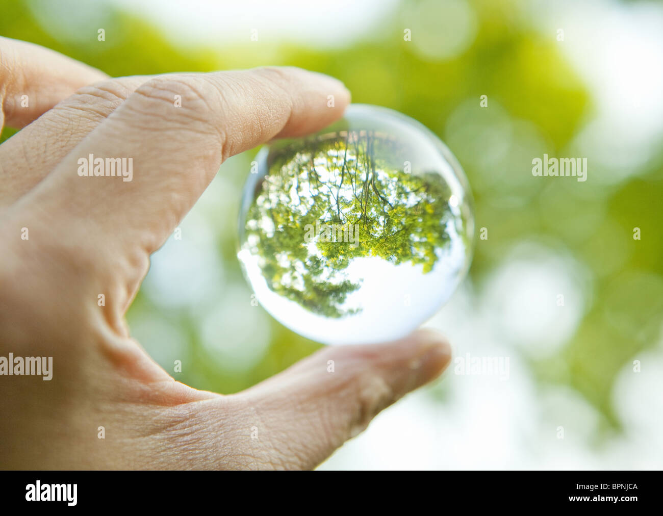 Trees reflecting in sphere Stock Photo - Alamy