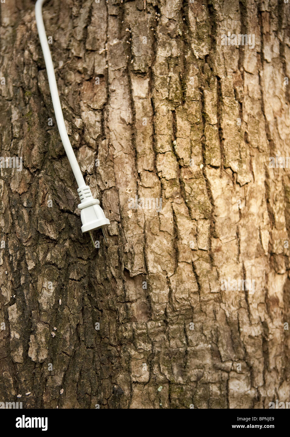 Tree and plug Stock Photo - Alamy