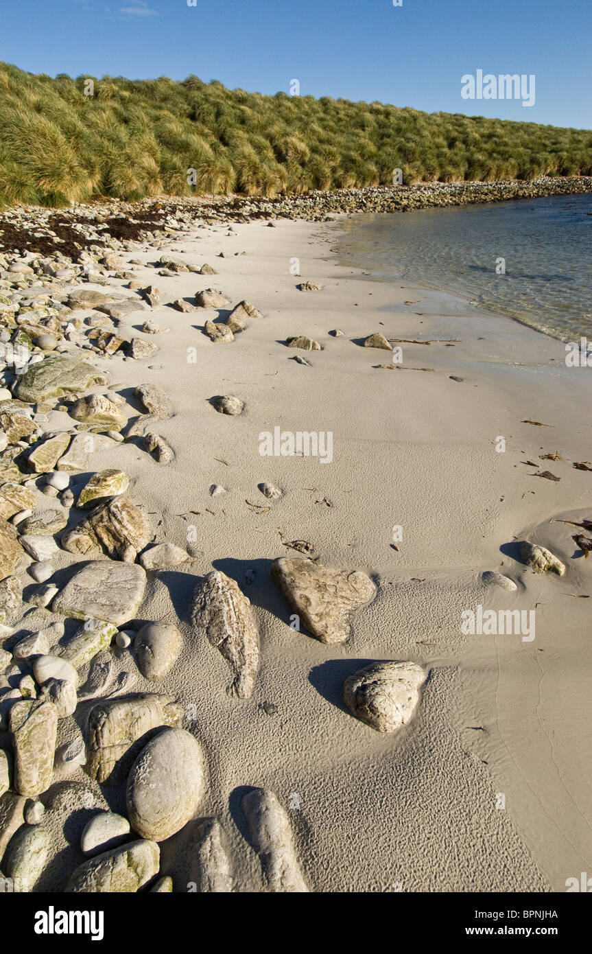 Berkeley sound falkland islands hi-res stock photography and images - Alamy