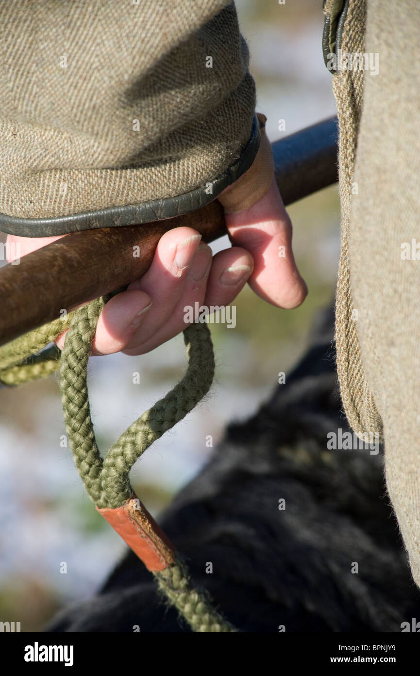 Hand lead dog hi-res stock photography and images - Alamy
