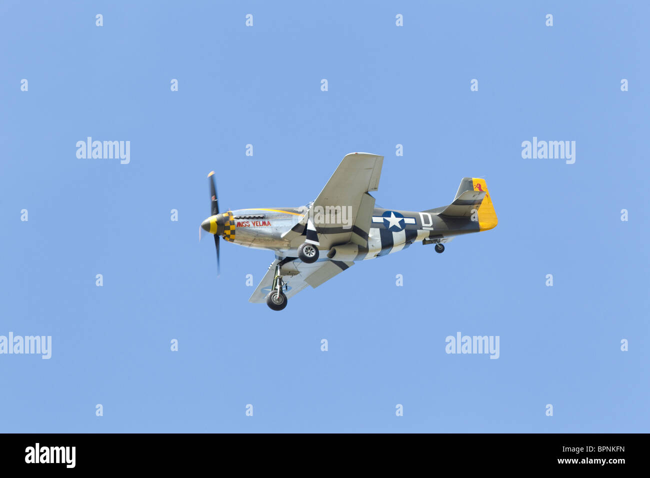 North American P-51 Mustang flying at an aerial display Stock Photo - Alamy