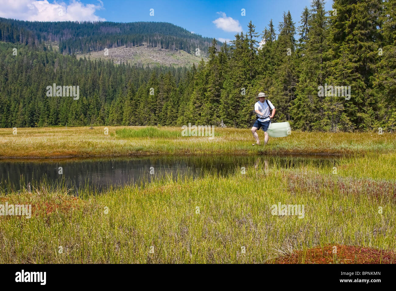 Biologist researching insects in a bog in Romania Stock Photo - Alamy