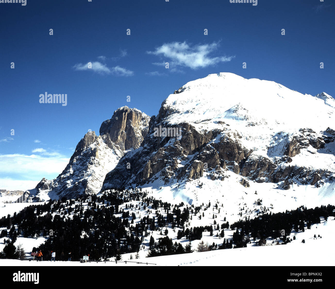 Sassolungo Langkofel and Sasso Piatto Plattkofel Sasplat above The Alpe ...