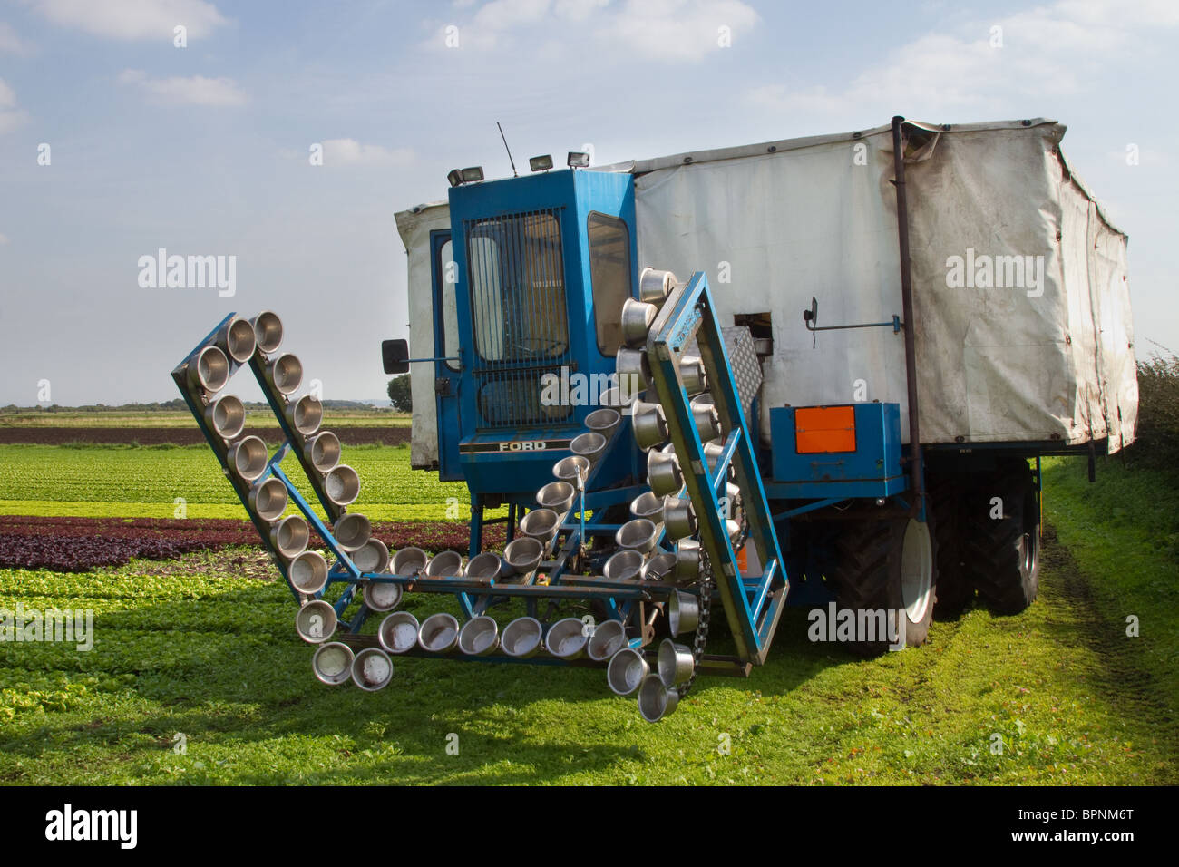 Salad rig Lettuce & Cut Vegetable Harvest. Harvatec self-propelled rigs ...