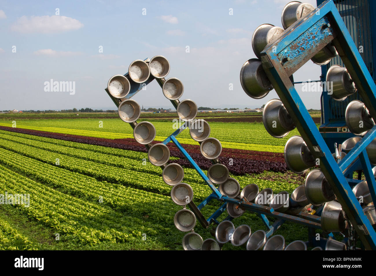 Salad rig Lettuce & Cut Vegetable Harvest. Harvatec self-propelled rigs ...