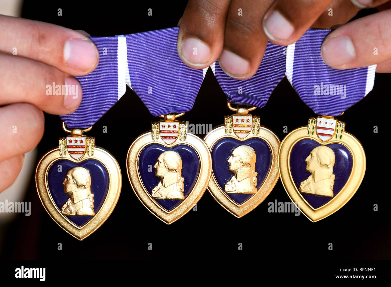 Military purple heart hi-res stock photography and images - Alamy