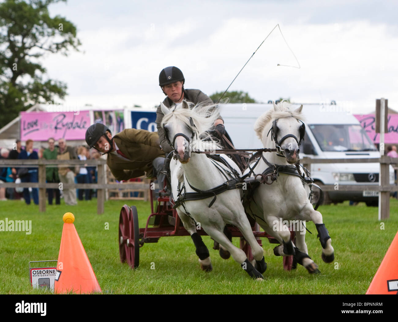 Scurry Racing or Double Harness Scurry Driving UK Stock Photo - Alamy