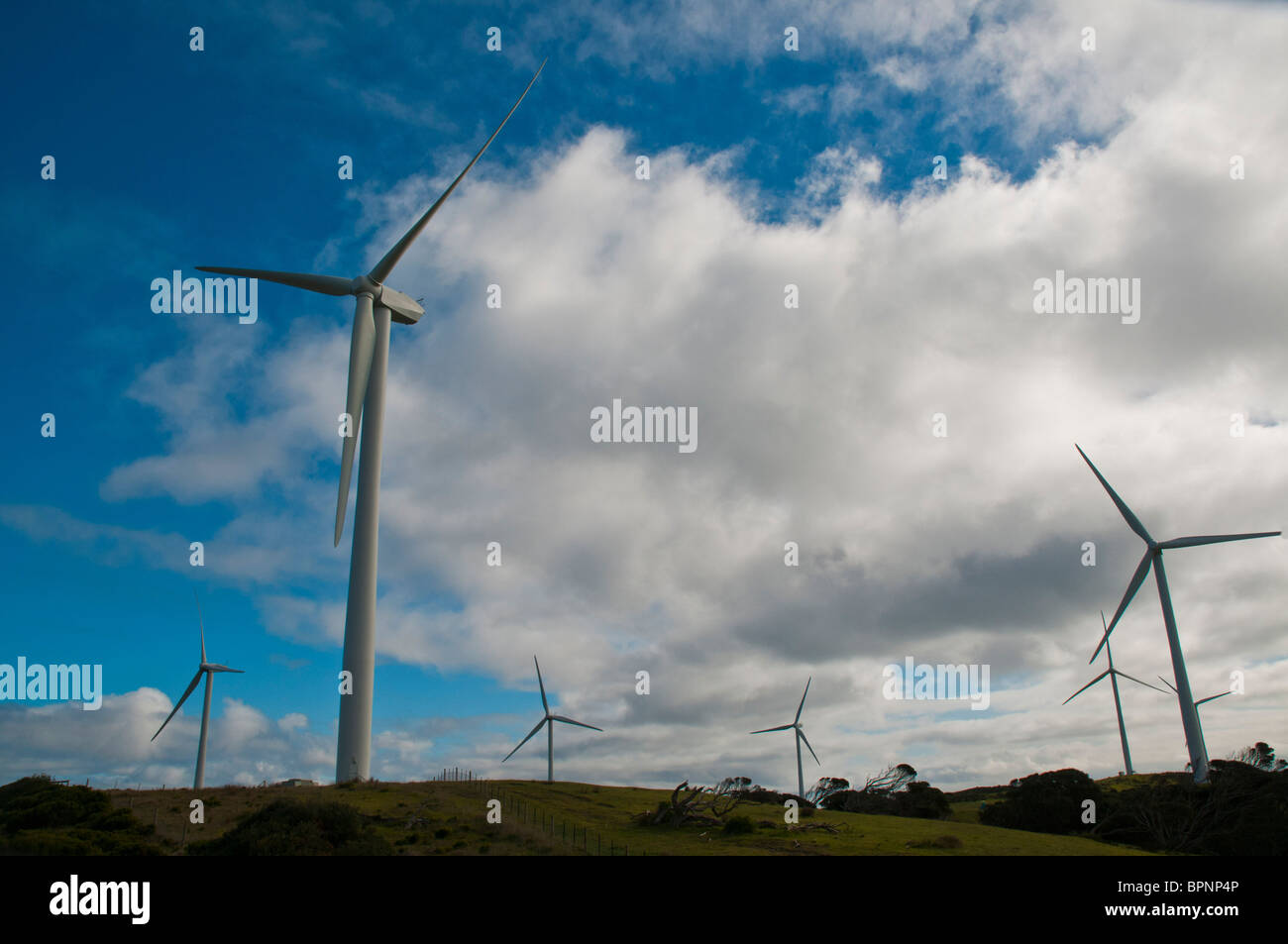 Wind farm australia victoria hi-res stock photography and images - Alamy