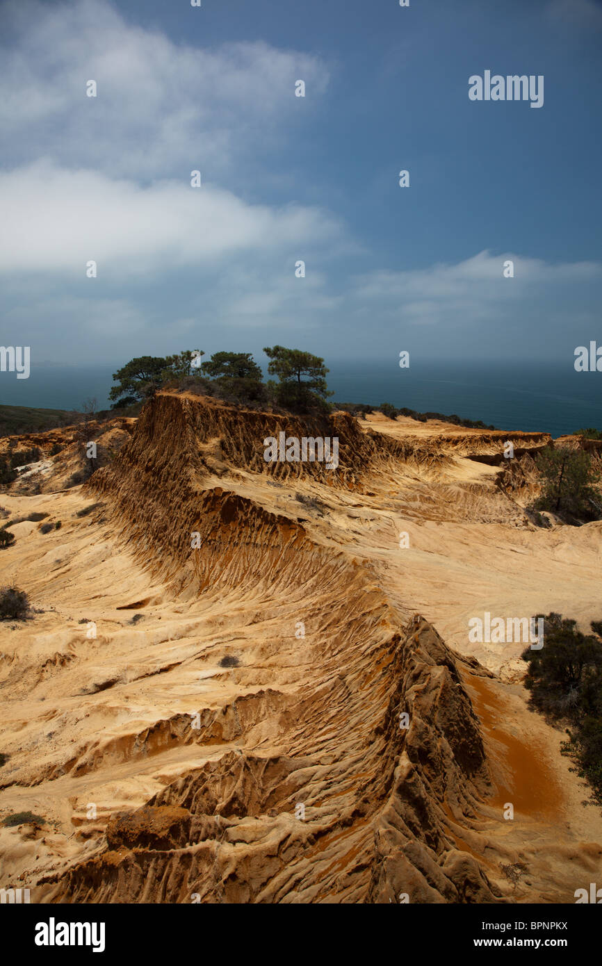 Torrey ridge hi-res stock photography and images - Alamy