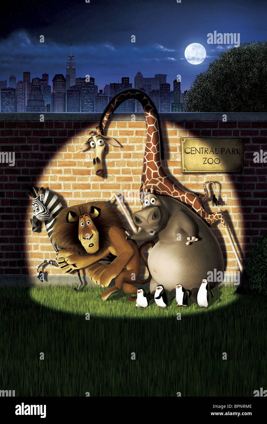 Melman Marty Zebra Alex Lion High Resolution Stock Photography and ...