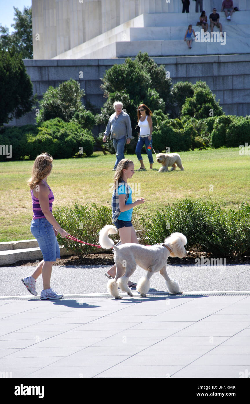 Girl walking poodle, Washington DC, USA Stock Photo - Alamy