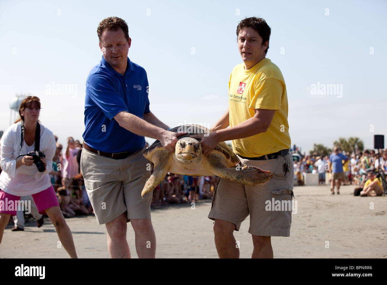 A rehabilitated loggerhead sea turtle released back to the ocean by the ...