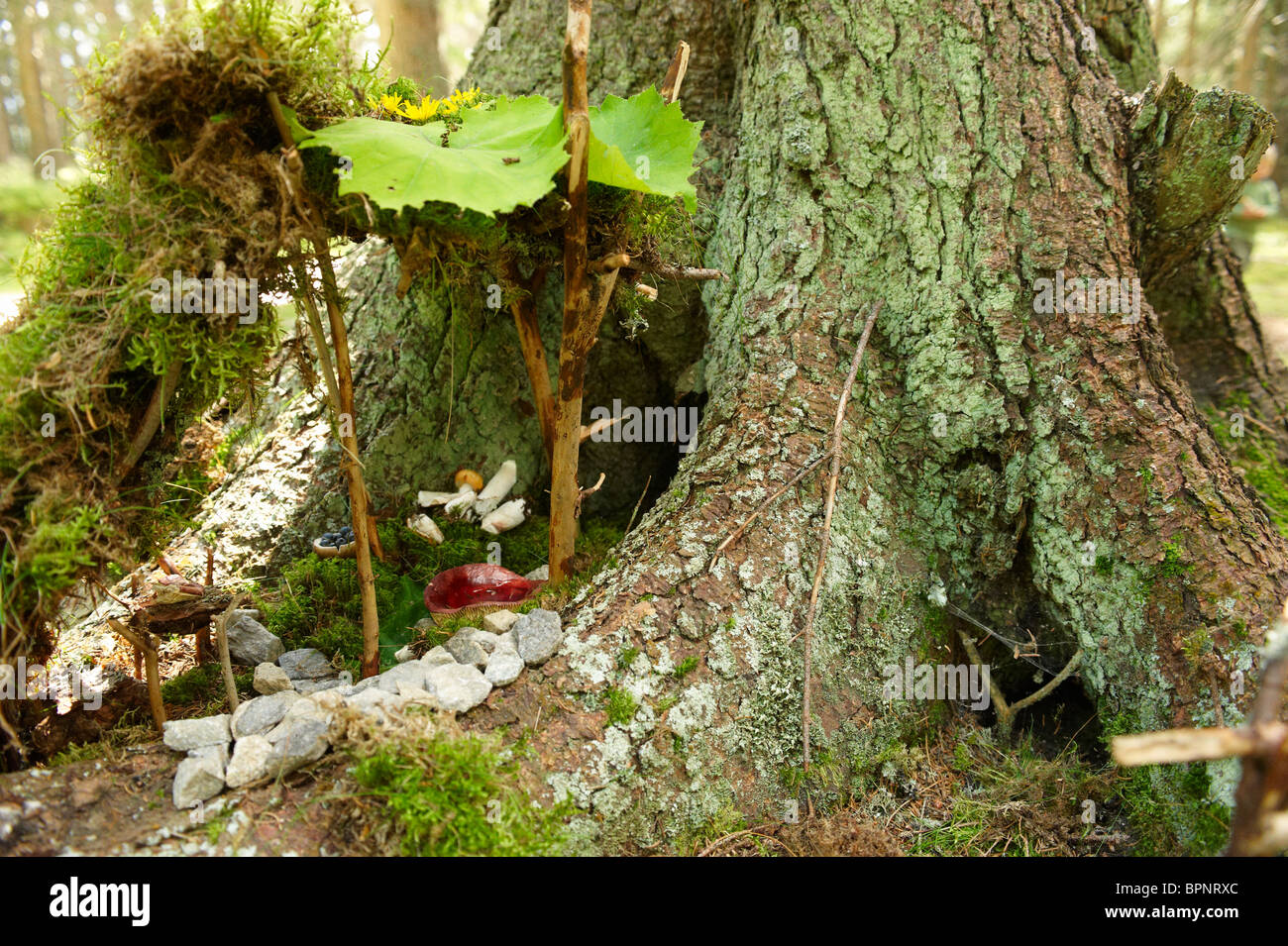 Wooden house dwarf in forest hi-res stock photography and images - Alamy