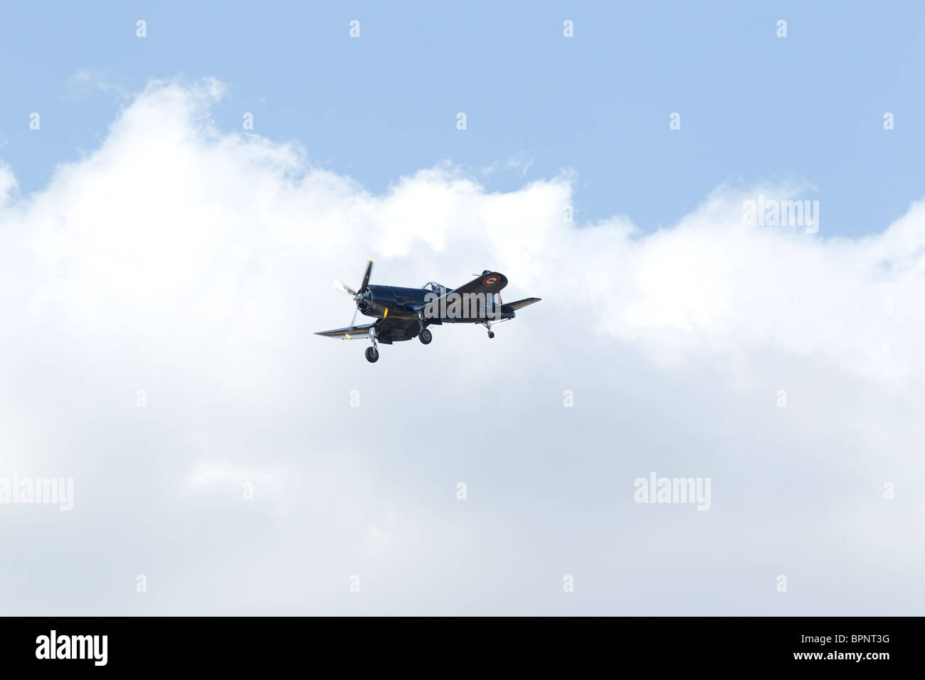 A Vought F4U Corsair Flying in an air display Stock Photo - Alamy