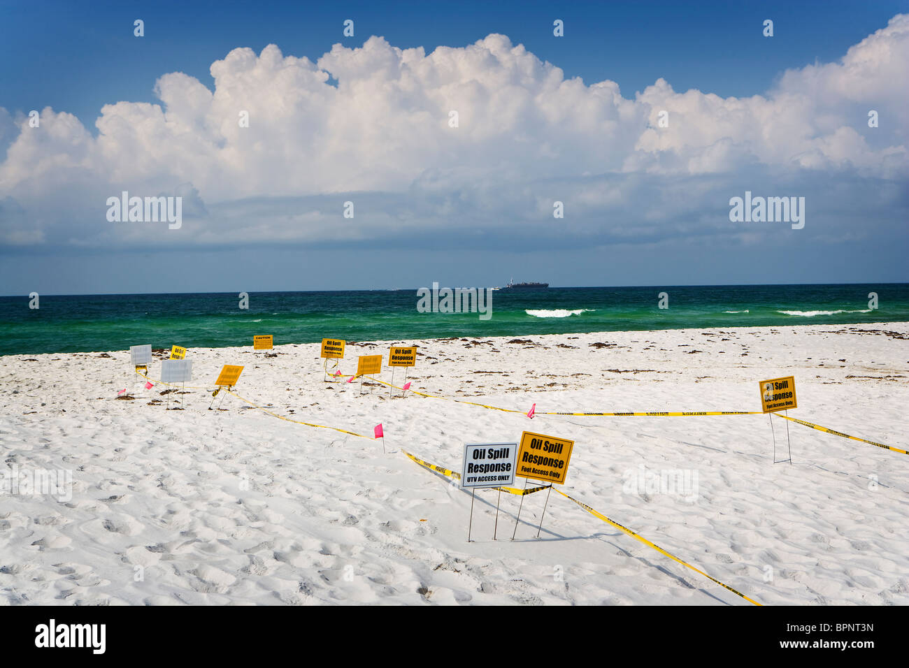 Clean-up crews work along Florida's Gulf Coast cleaning up oil and tar ...
