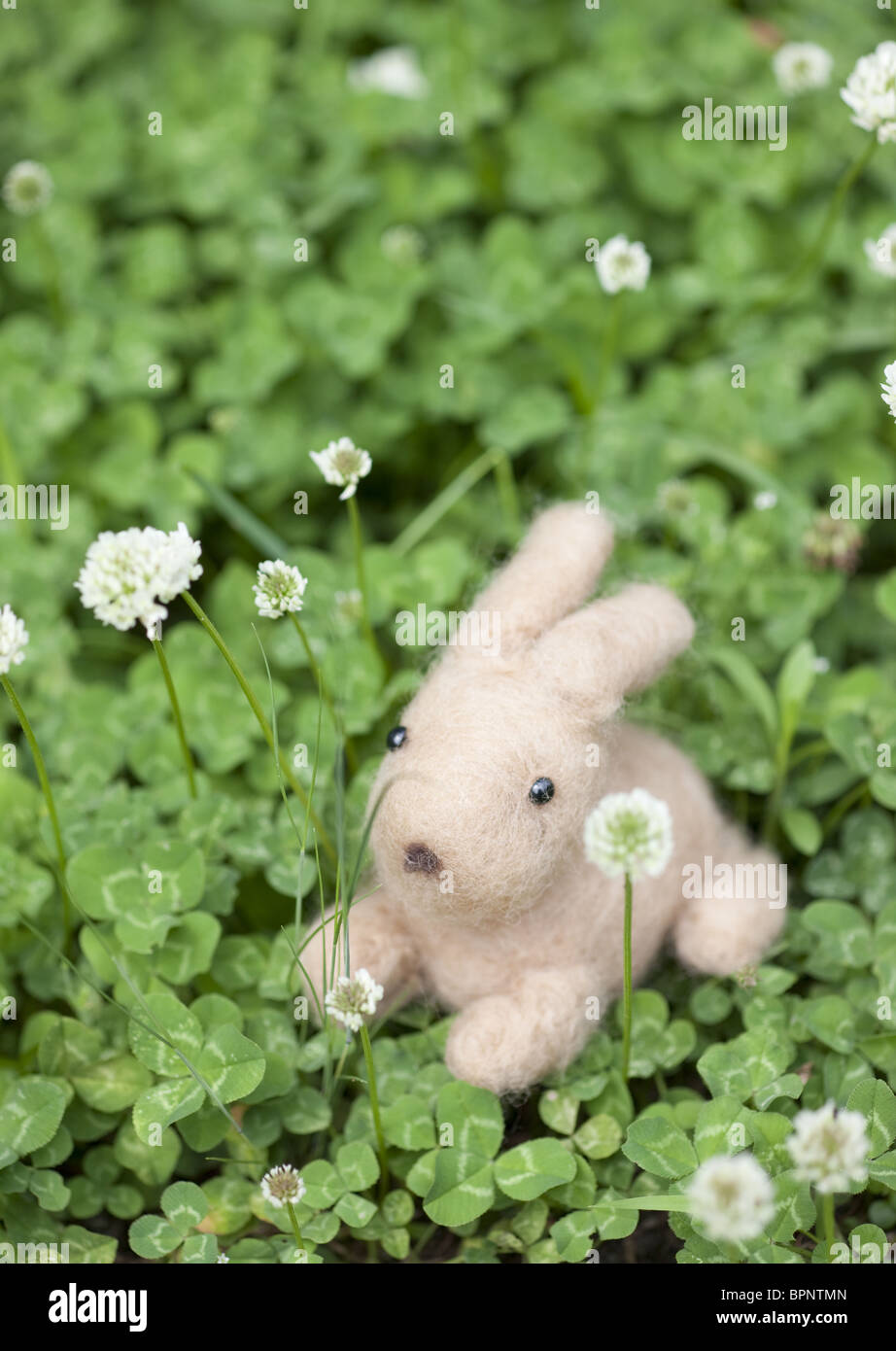 Stuffed toy rabbit Stock Photo - Alamy