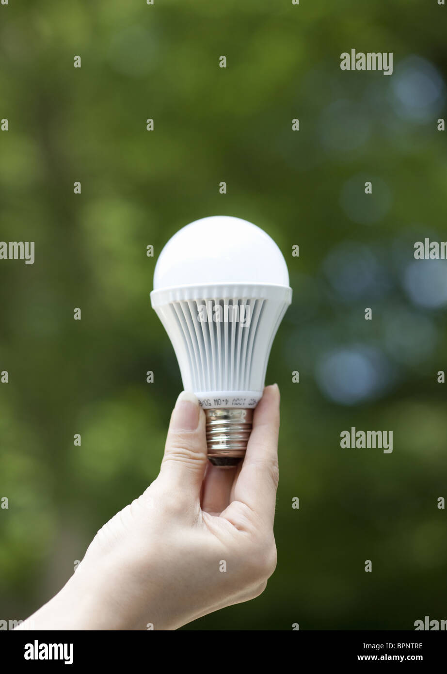 Single light bulb forest hi-res stock photography and images - Alamy