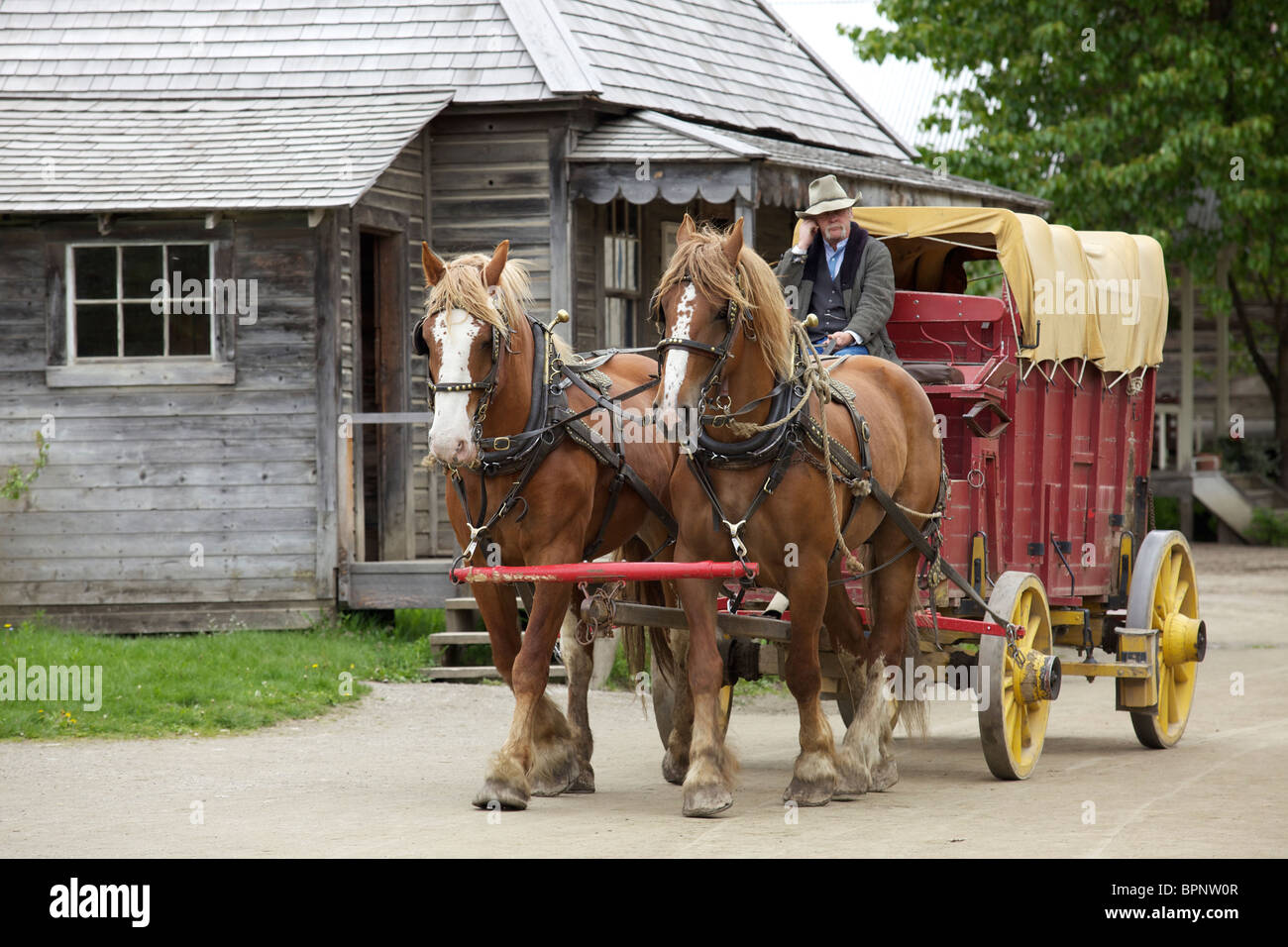Horse and wagon 1800s High Resolution Stock Photography and Images - Alamy