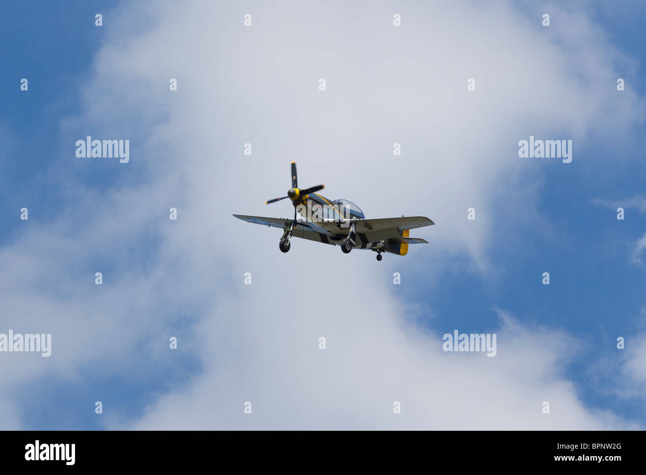 North American P-51 Mustang flying at an aerial display Stock Photo - Alamy
