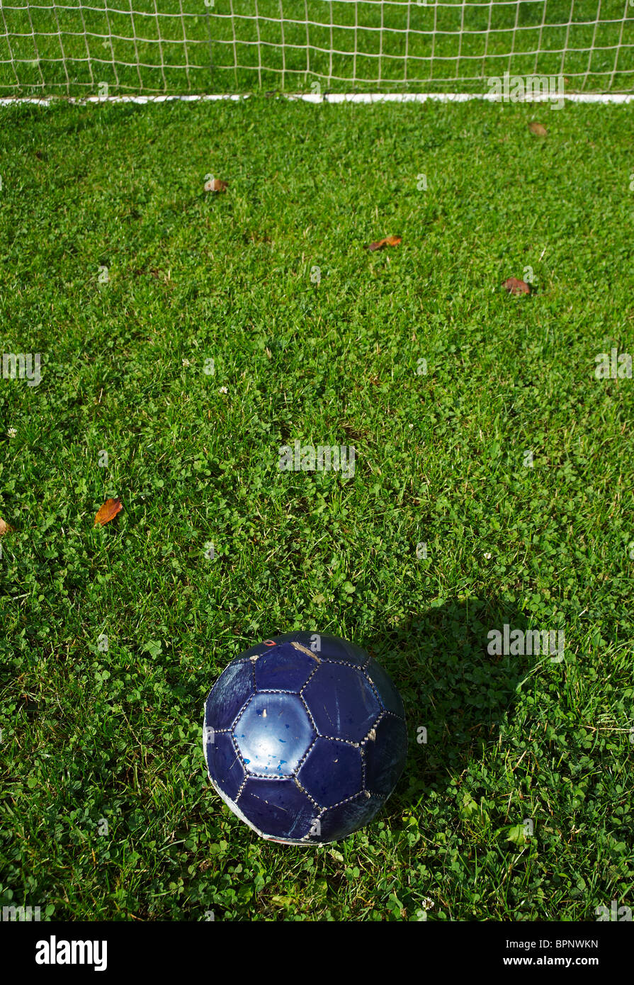 Soccer Ball on Grass in Front of Goal Stock Photo - Alamy