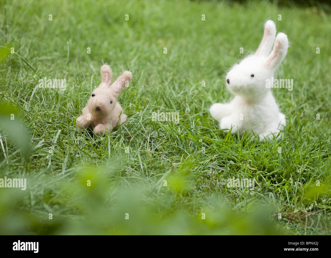 Stuffed toy rabbits Stock Photo - Alamy
