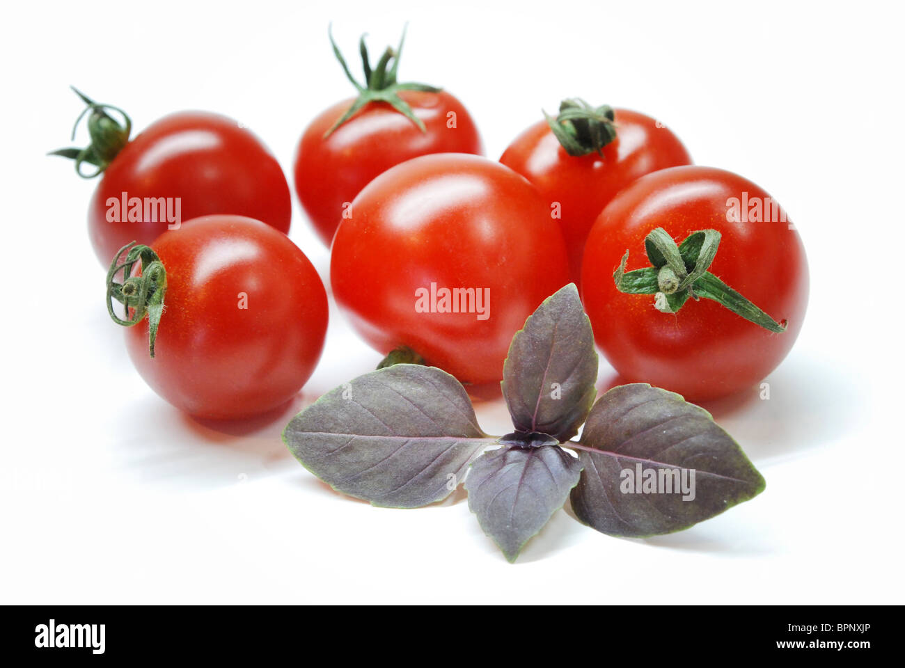 Little red tomatoes Cut Out Stock Images & Pictures - Alamy
