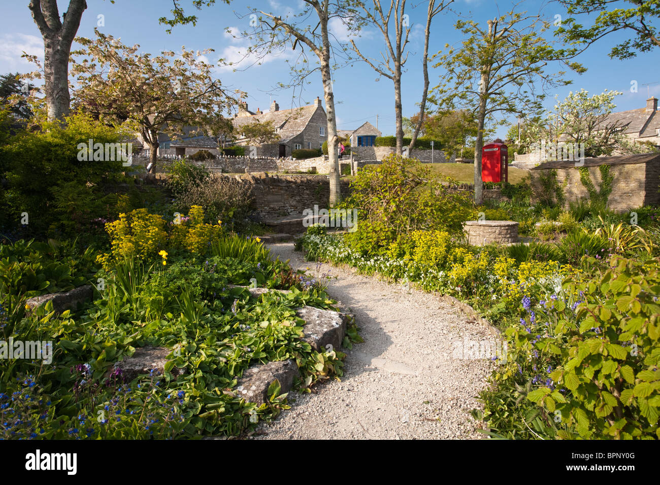 Spring flowers in the centre of the village of Worth Matravers on the ...