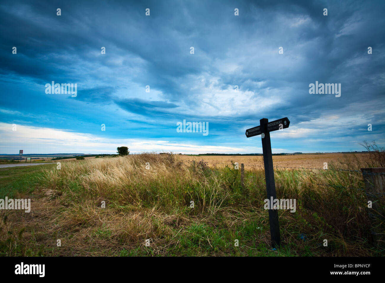 Ridgeway signpost on the downs at West Ilsley on the Oxfordshire and ...