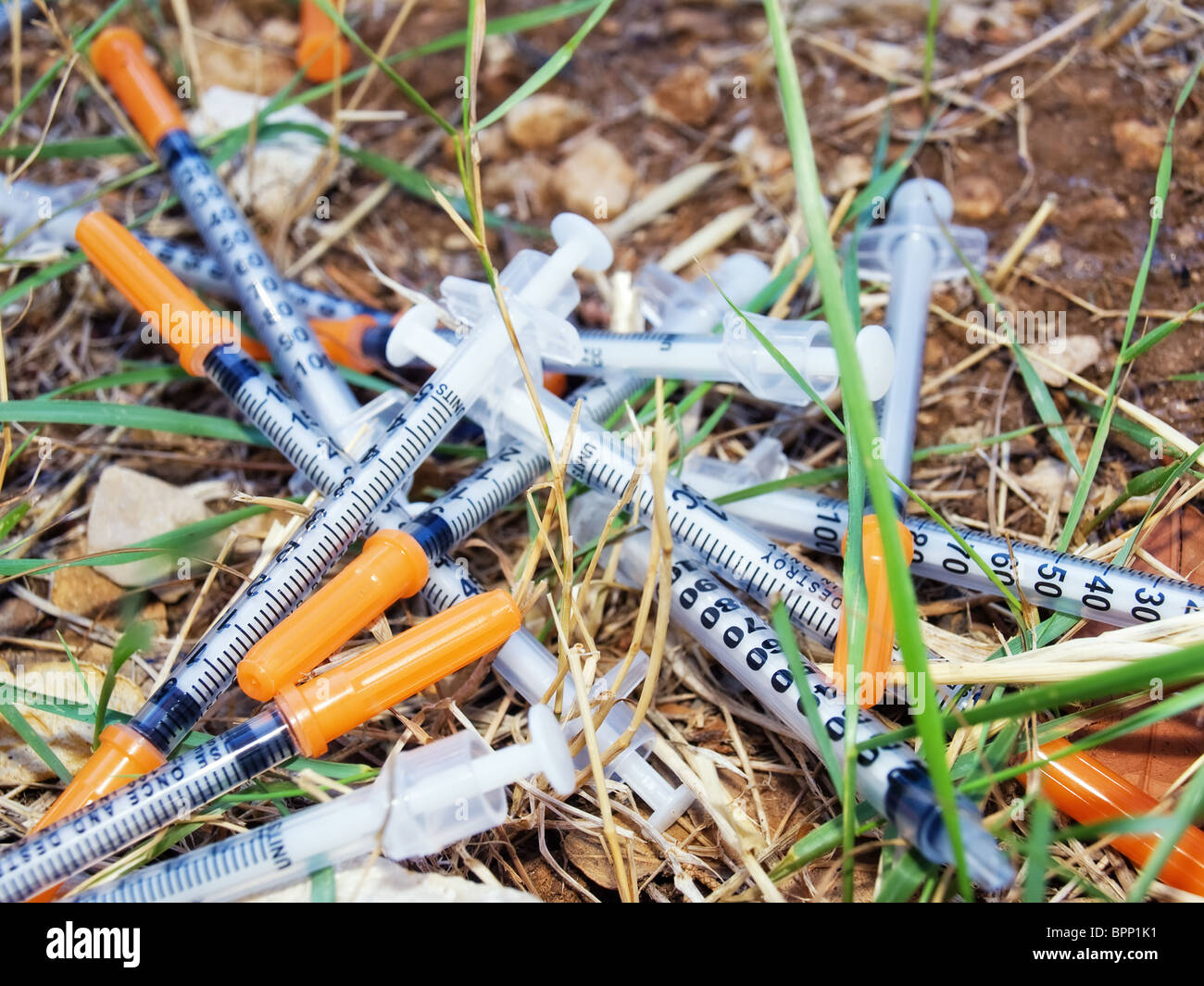 Used syringes discarded somewhere in nature pose a risk of infection ...