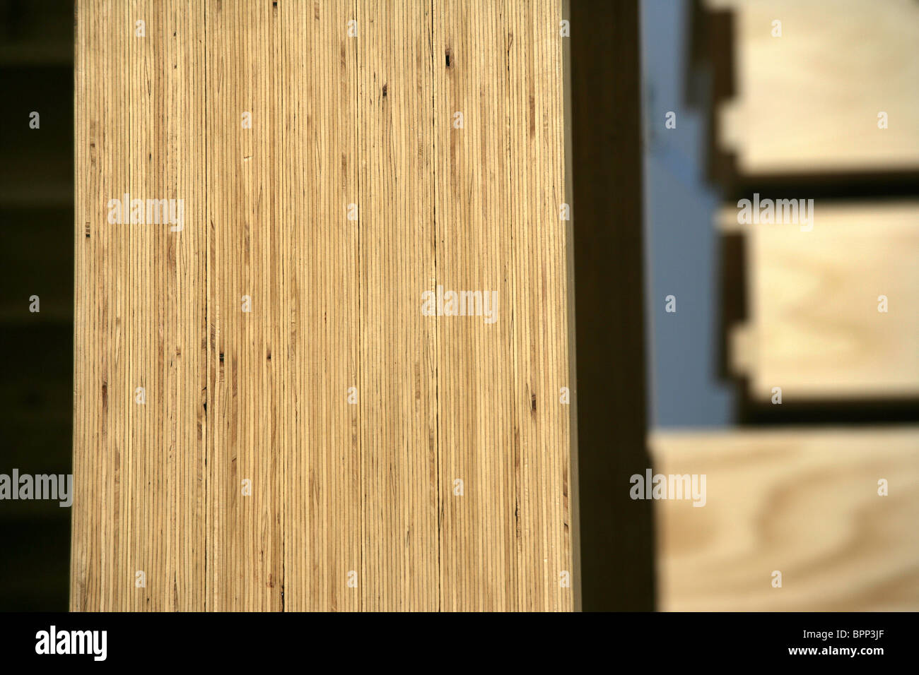 The timber and LVL laminated veneer lumber frame for NMIT's new Arts ...
