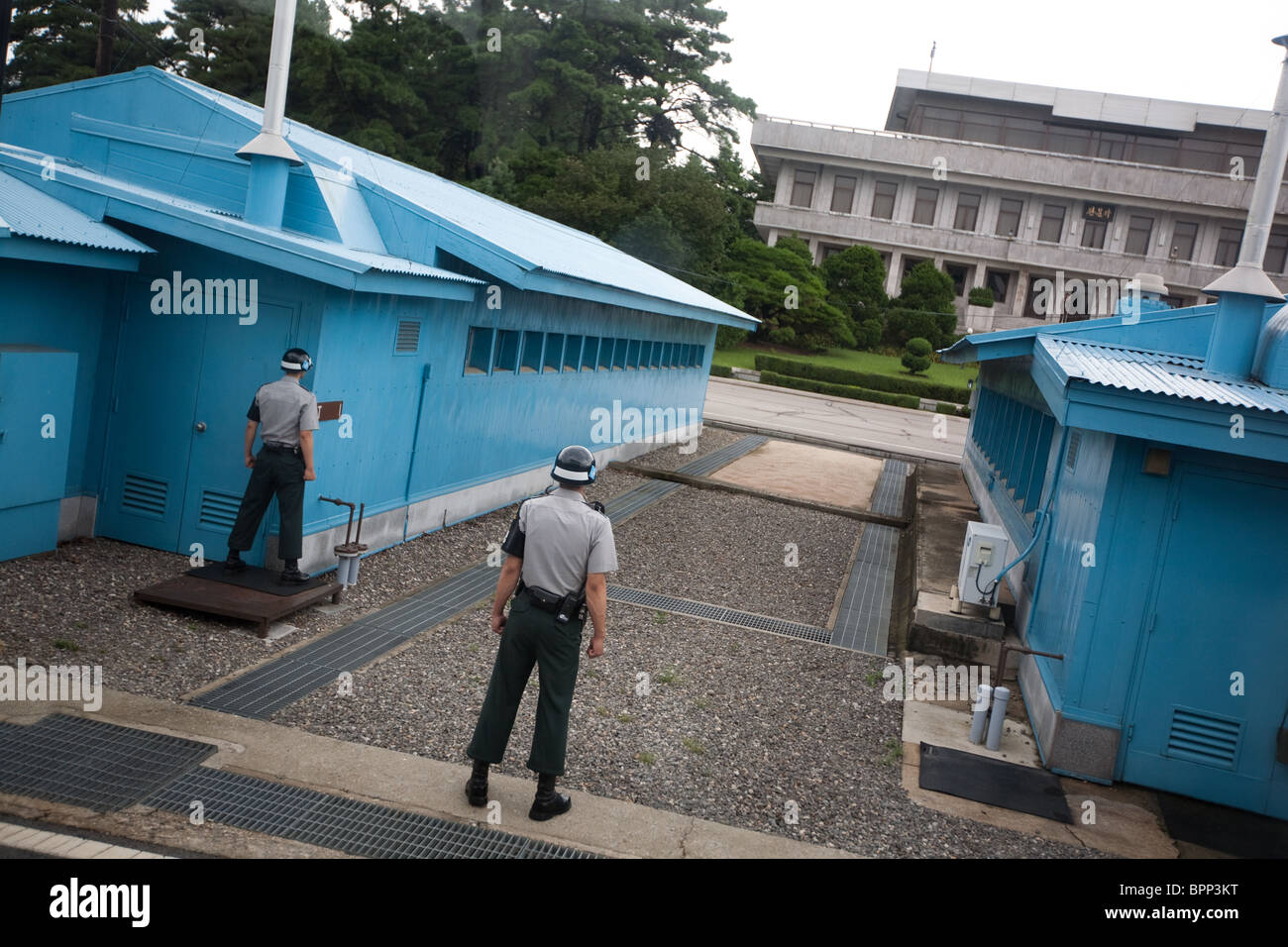 Dmz Zone Pictures Of Wildlife In Korea's Demilitarized Zone