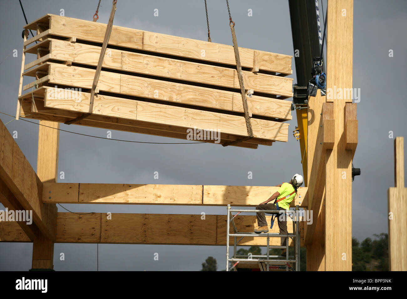 The timber and LVL laminated veneer lumber frame for NMIT's new Arts ...