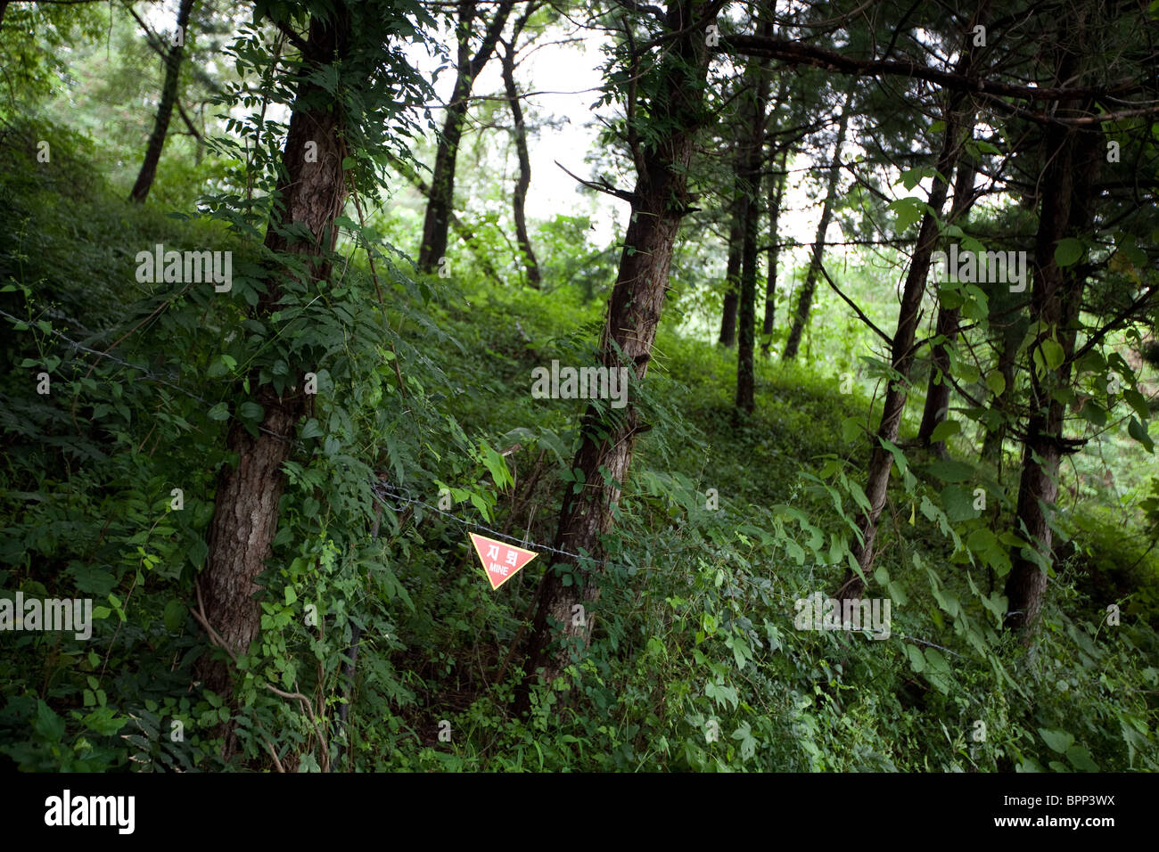 Sign warning of the presence land mines, on the southern side of the ...