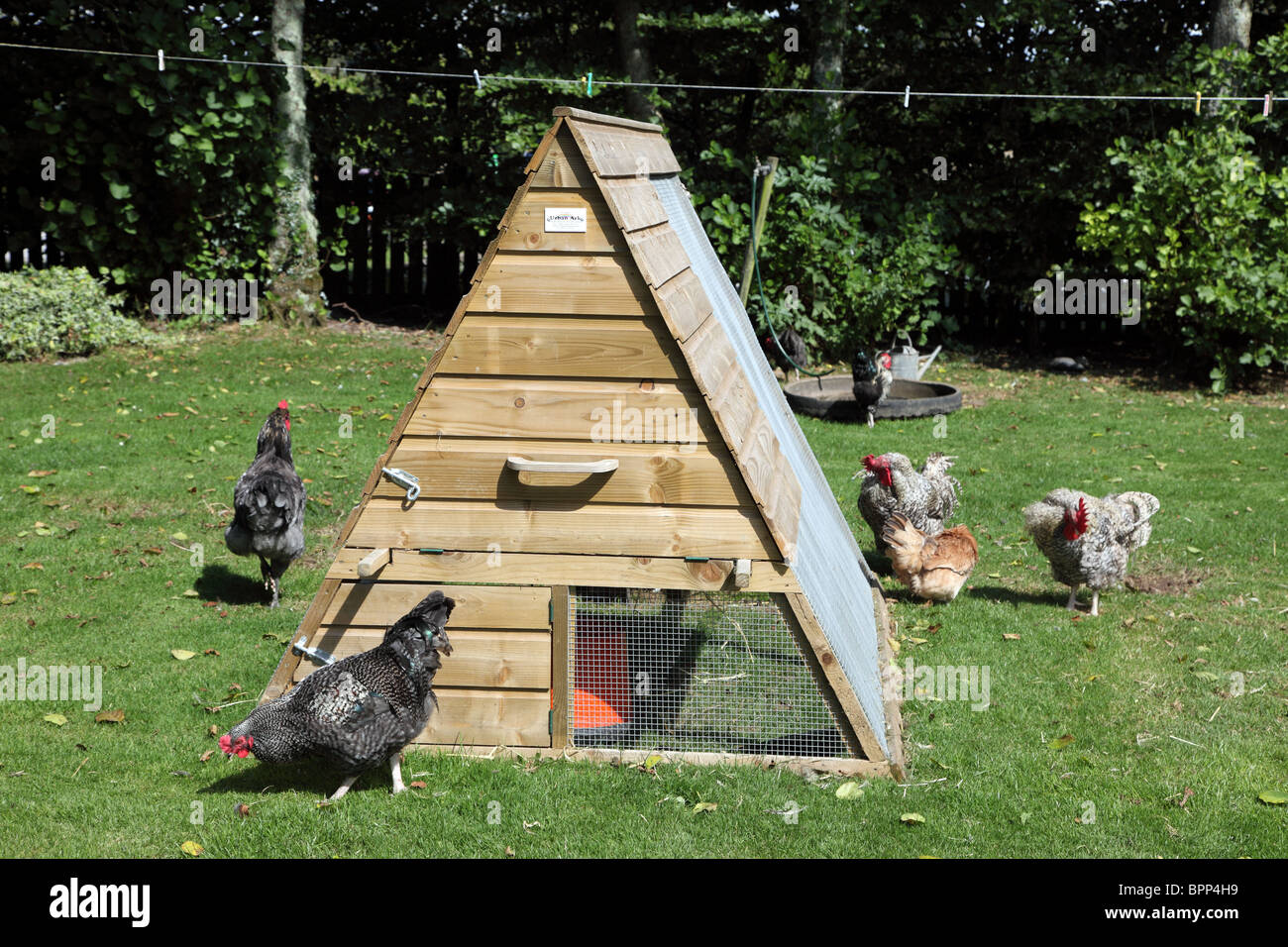 Hen house hi-res stock photography and images - Alamy