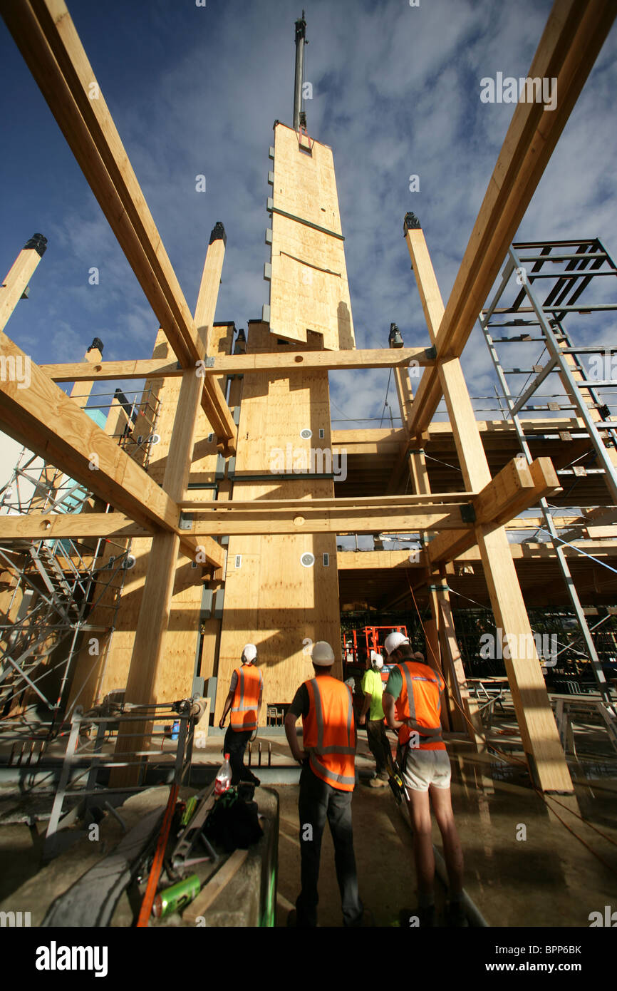 The timber and LVL laminated veneer lumber frame for NMIT's new Arts ...