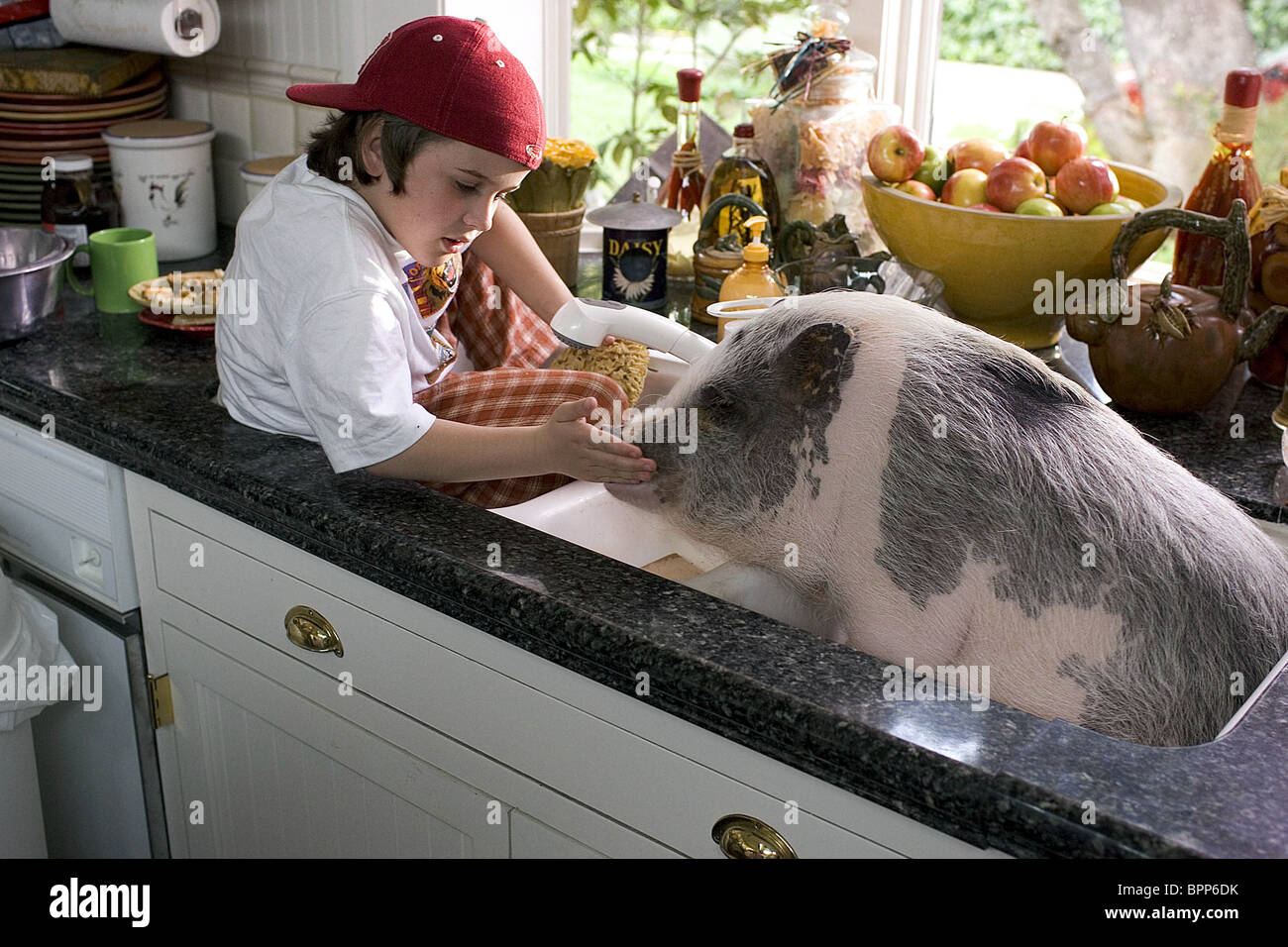 Ours Animal High Resolution Stock Photography and Images - Alamy