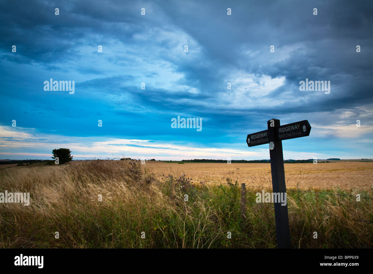 Ridgeway signpost on the downs at West Ilsley on the Oxfordshire and ...