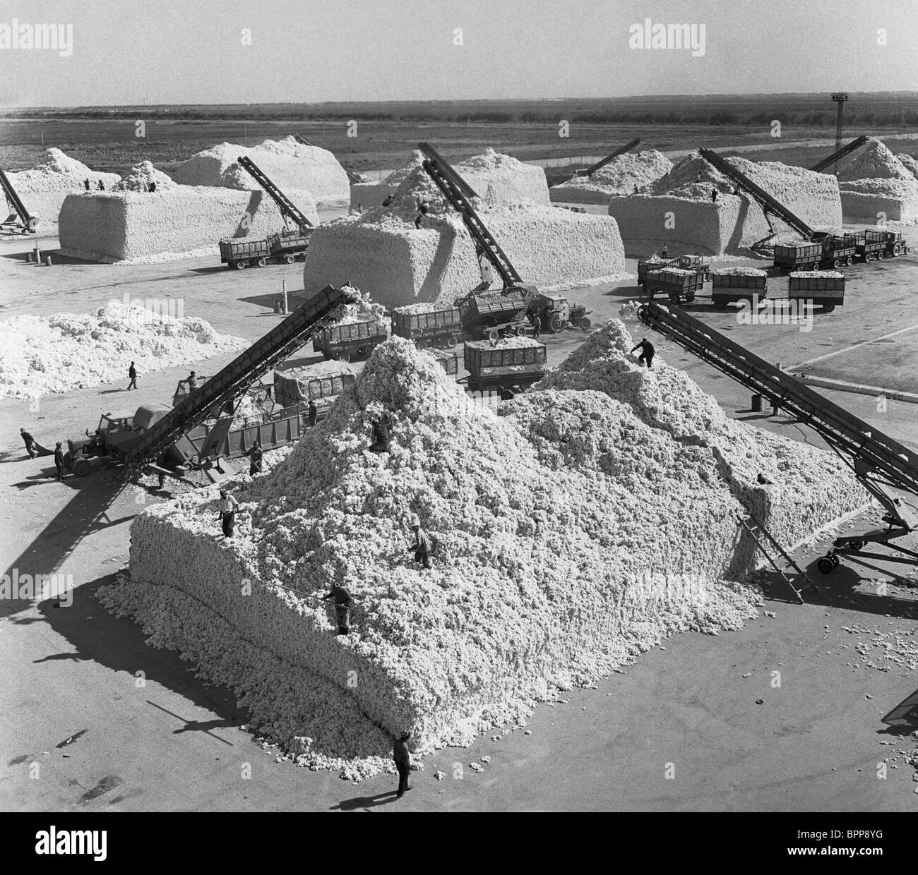 Sovkhoz High Resolution Stock Photography and Images - Alamy